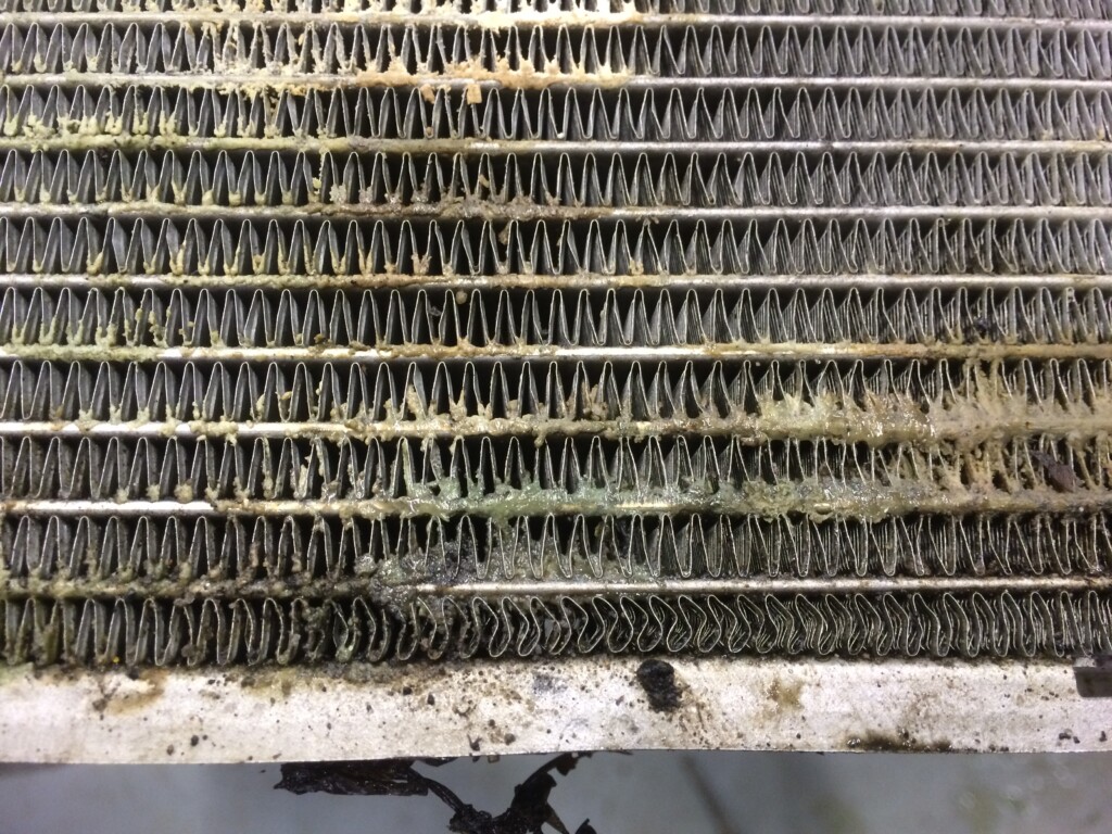 BMW Radiator - Replacement and Prevention - Atlantic Motorcar Center